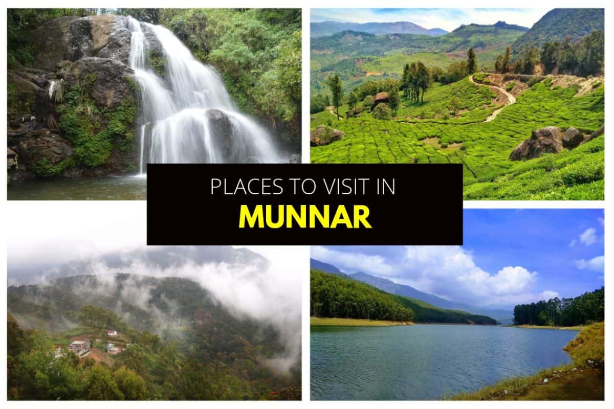 Places to visit in Munnar | Blue Bird Travels