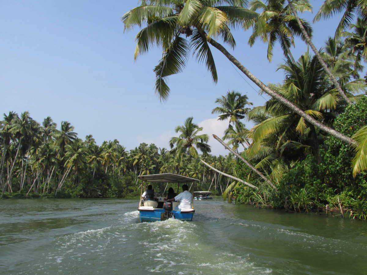 Poovar Boating | Blue Bird Travels