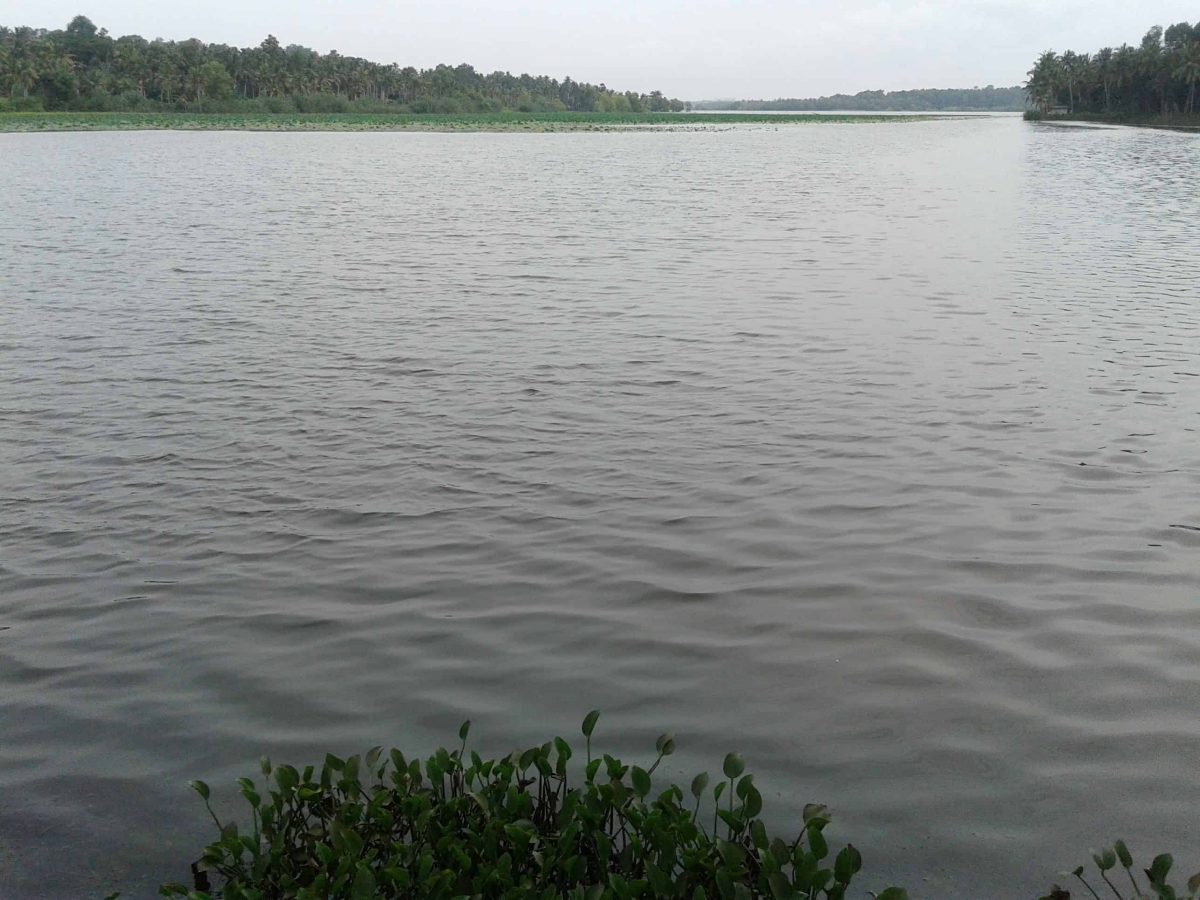 Vellayani Lake | Blue Bird Travels