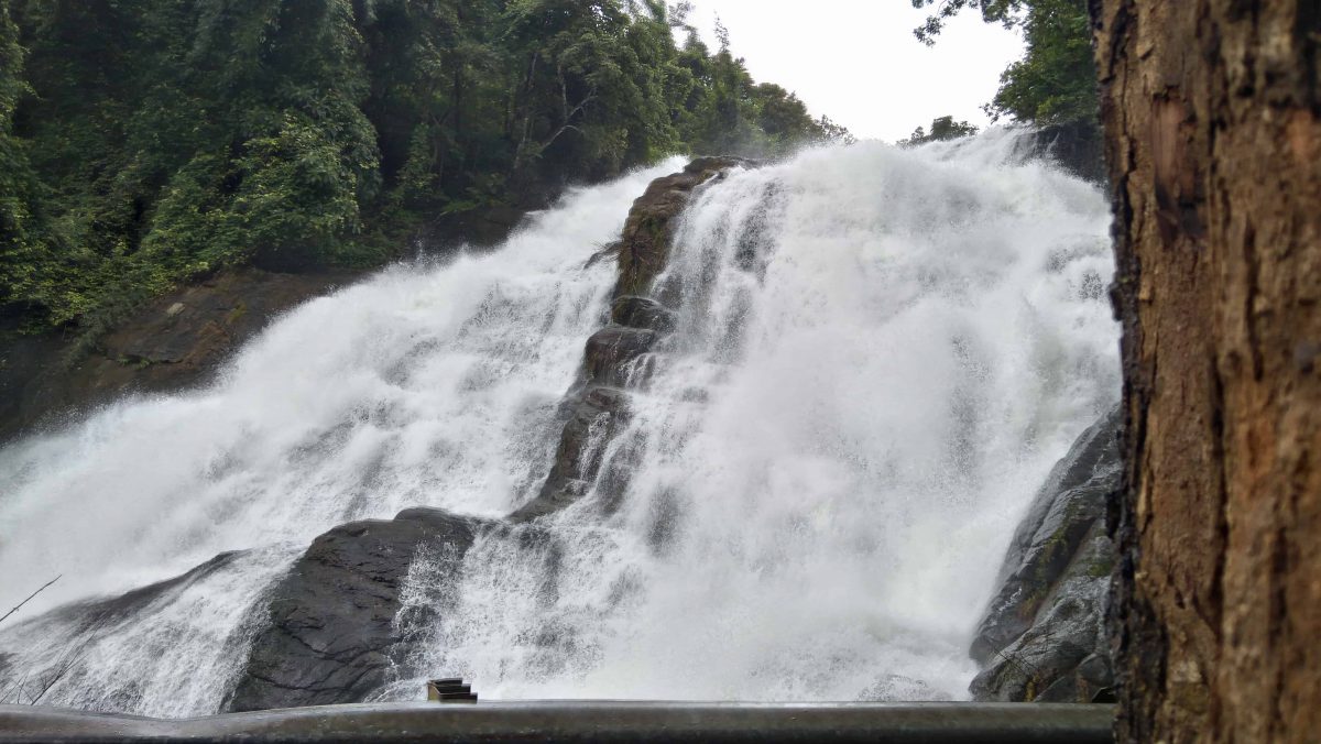 Waterfalls in Kochi | Blue Bird Travels