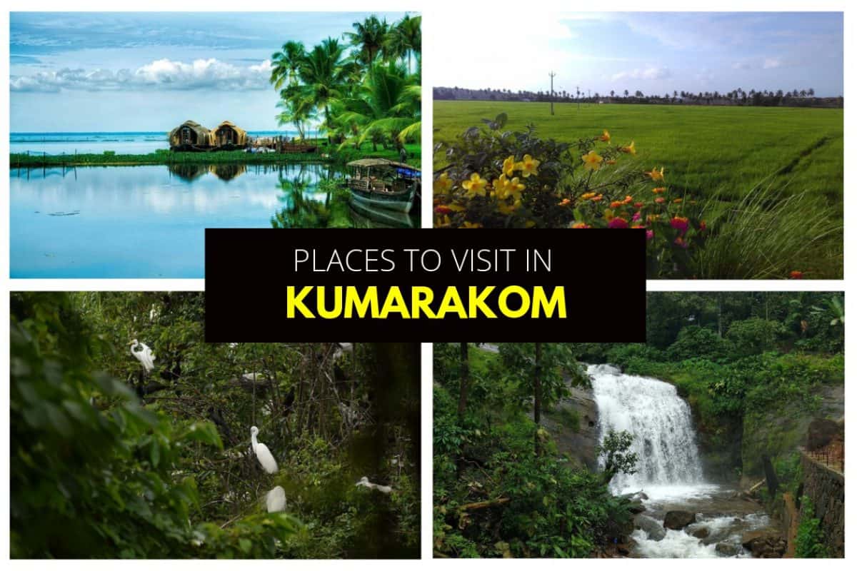 Places to visit in Kumarakom | Blue Bird Travels