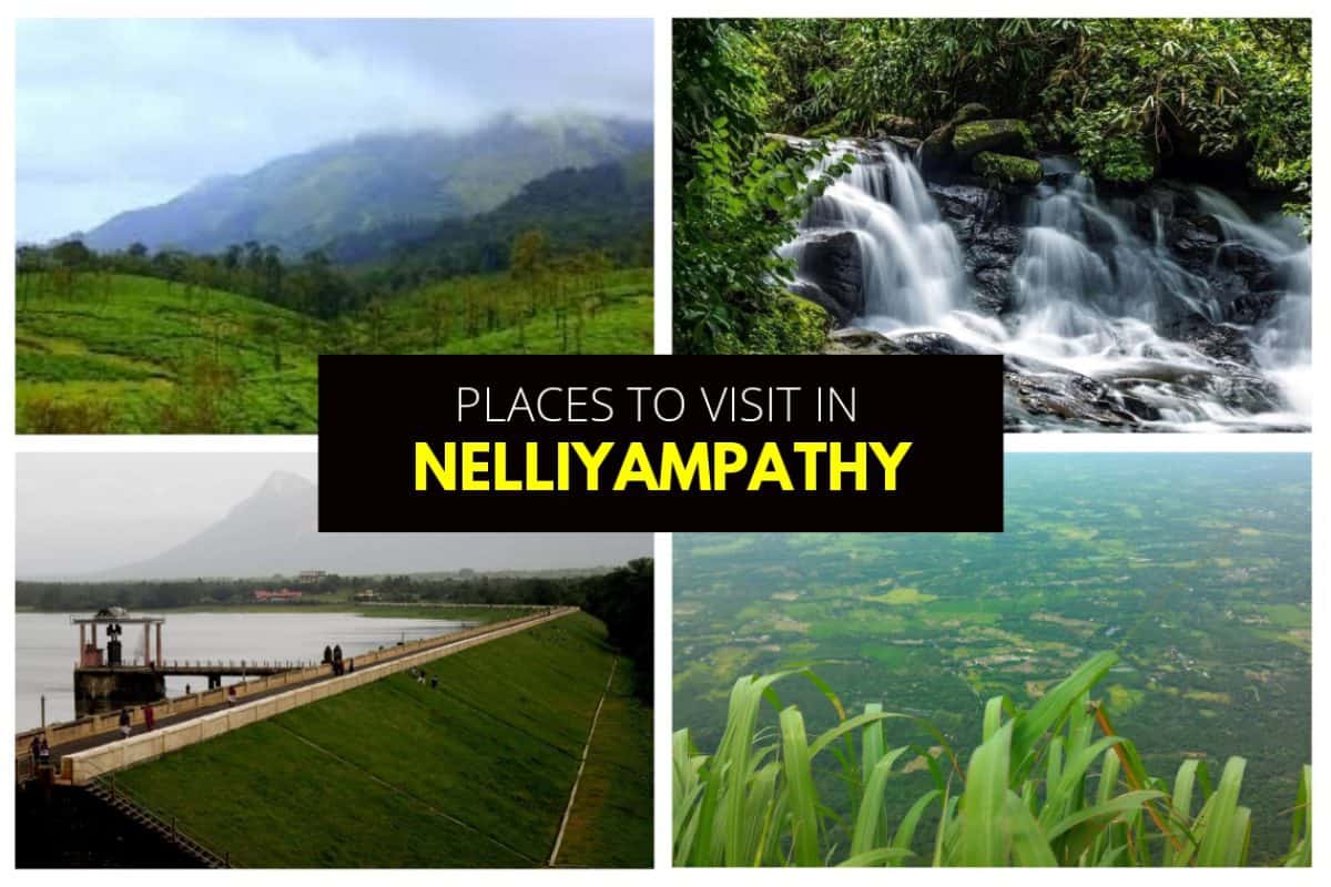 Places to see in Nelliyampathy | Blue Bird Travels